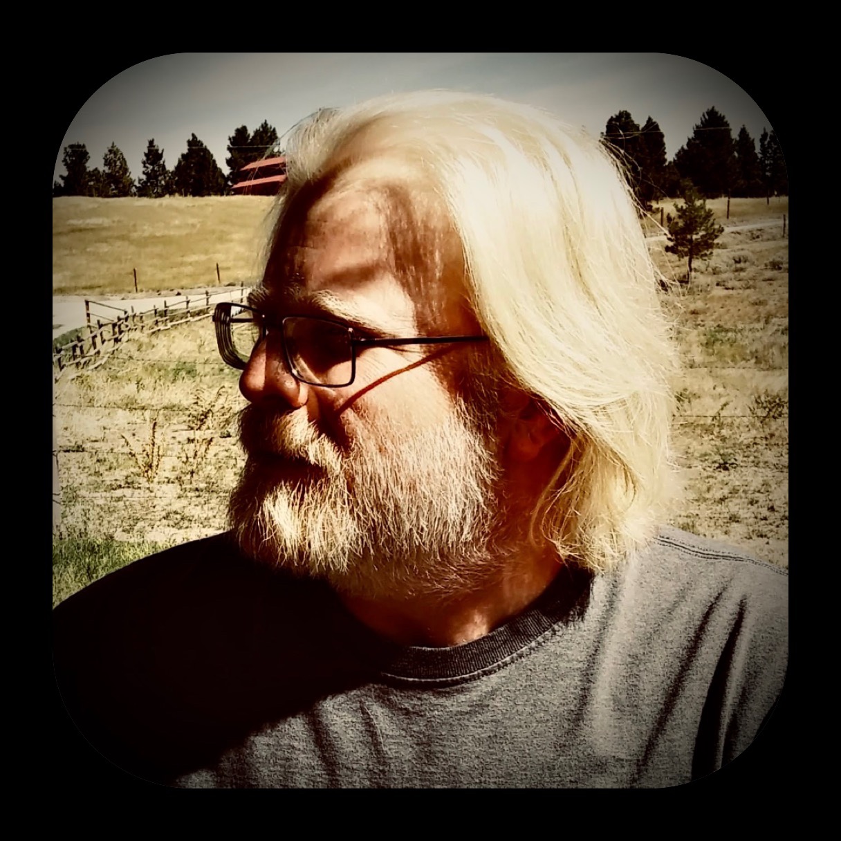 Bloodtooth by D.W. Hitz